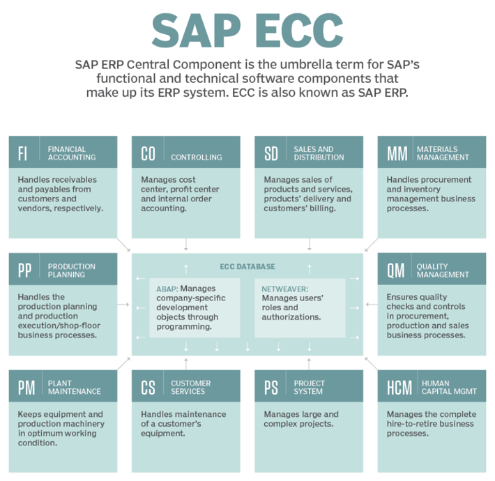 SAP 101: The Basics | Centiq